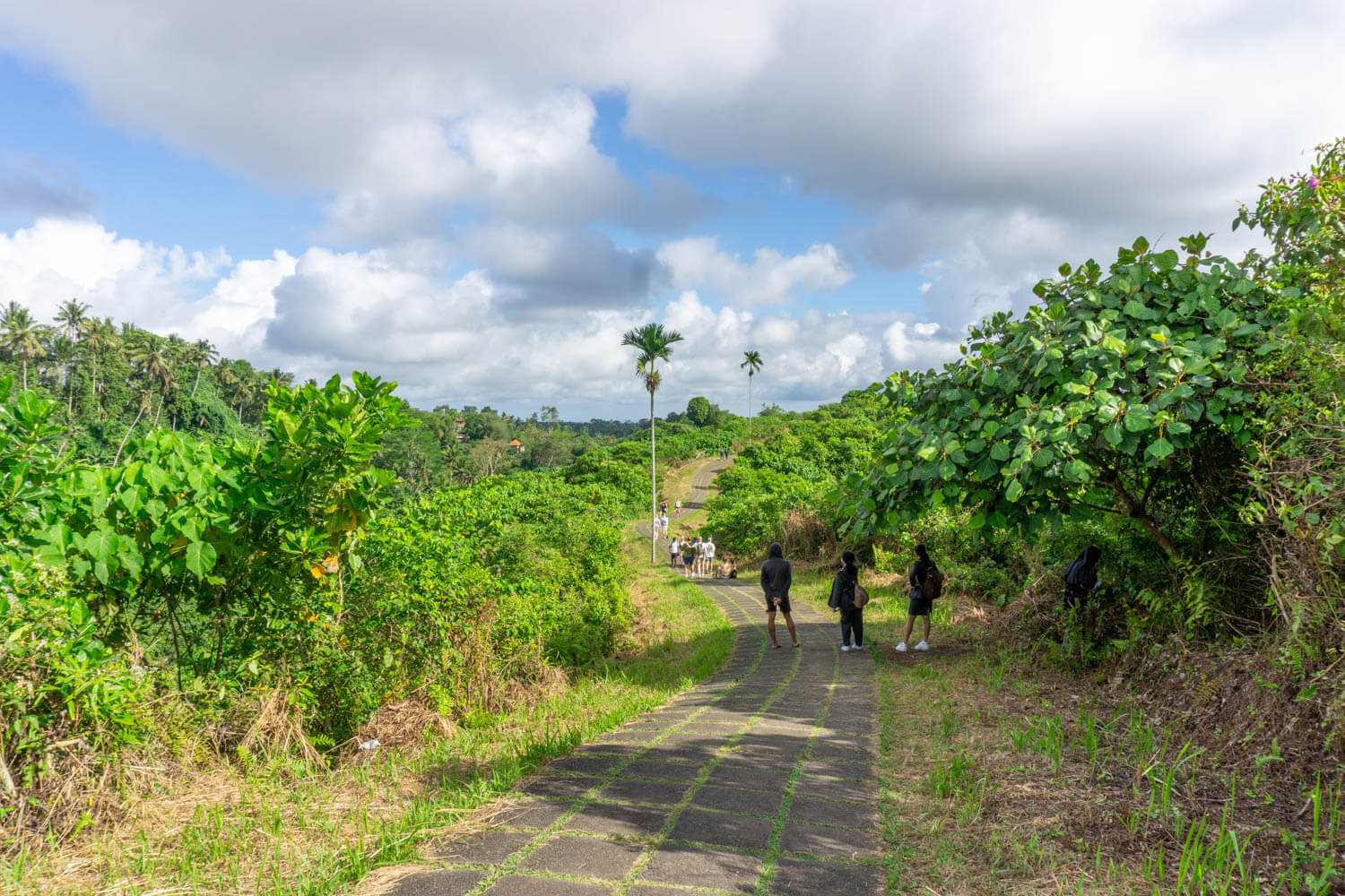 A Perfect Bali 2-Week Itinerary for Wellness & Culture | The Yogi Wanderer